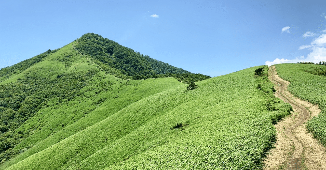 自己紹介（GVA国際法律事務所）｜Daisuke Fujie