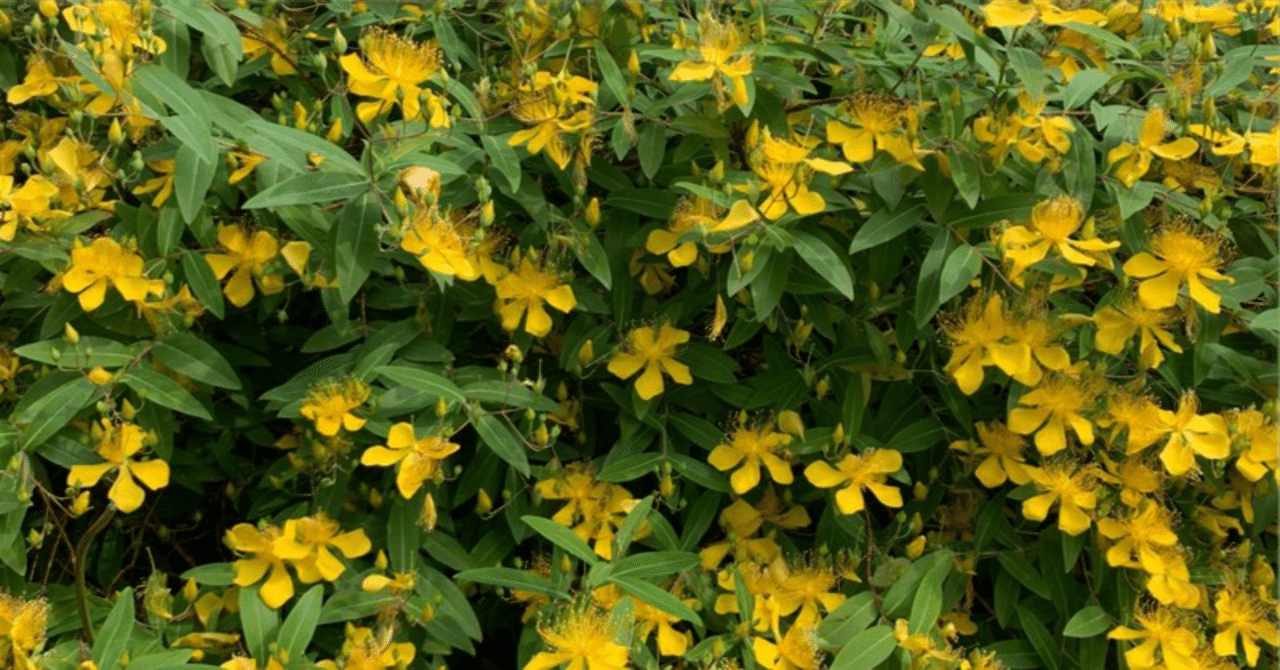 今回の体調不良で反省したこと｜Chie Ishikawa∣自分の想いを言葉にする魔術師