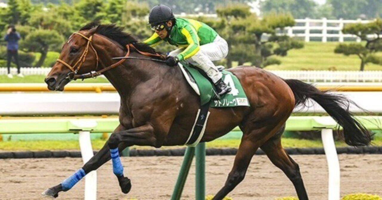 【函館スプリントS（G3）回顧～その先へ】日刊コンピ篇｜Haya