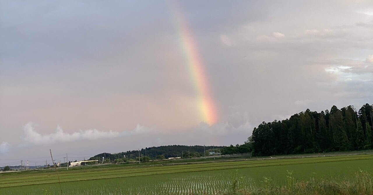 日本に帰国してまだ1ヶ月と少し｜ooxoo