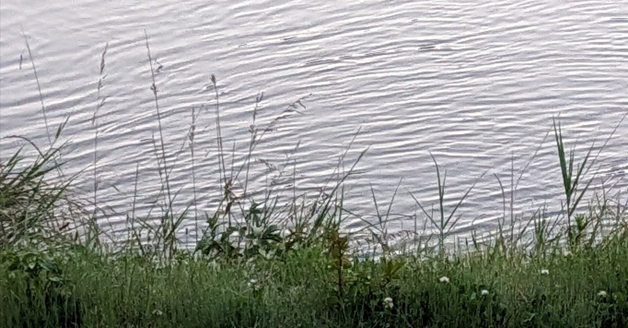 『里恋詩くて・・・熊野・高野』紀伊を愛した怒涛詩人さとちゃんを忘れない【520】｜ichiro70