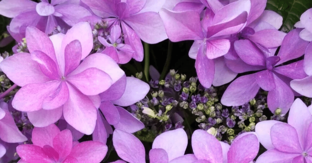 6/11｜“cococolor_spirit” RURI COZUE