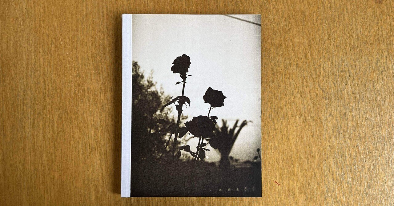 Sarah Walker – The Well｜IDEABOOKS JAPAN