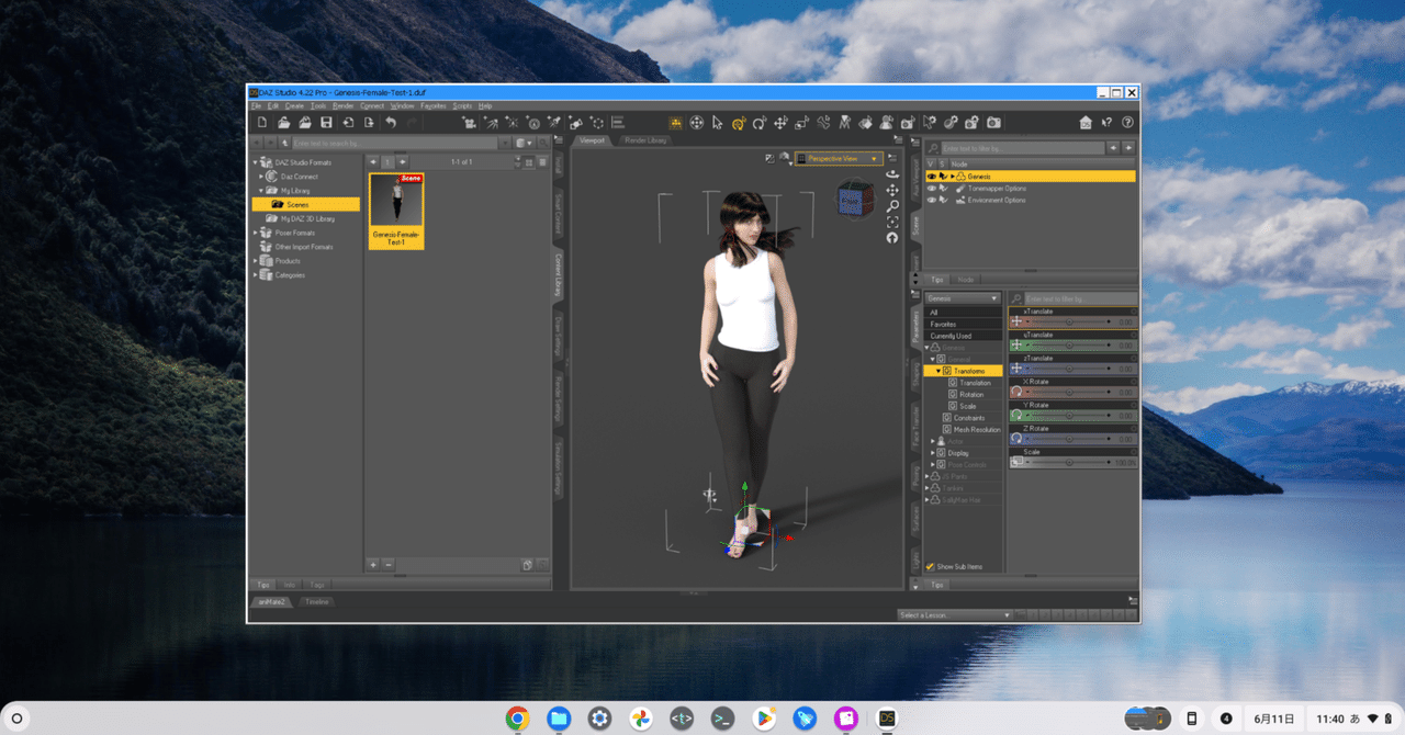 DAZ on Chromebook｜DAZ Studioをインストール - DAZ.Chro 実験室｜吉良浩明（きらやん）