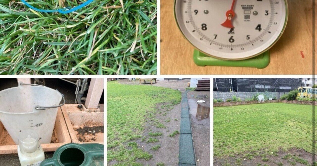 芝生管理に関して① Turfgrass Management｜Ryuji KPIS