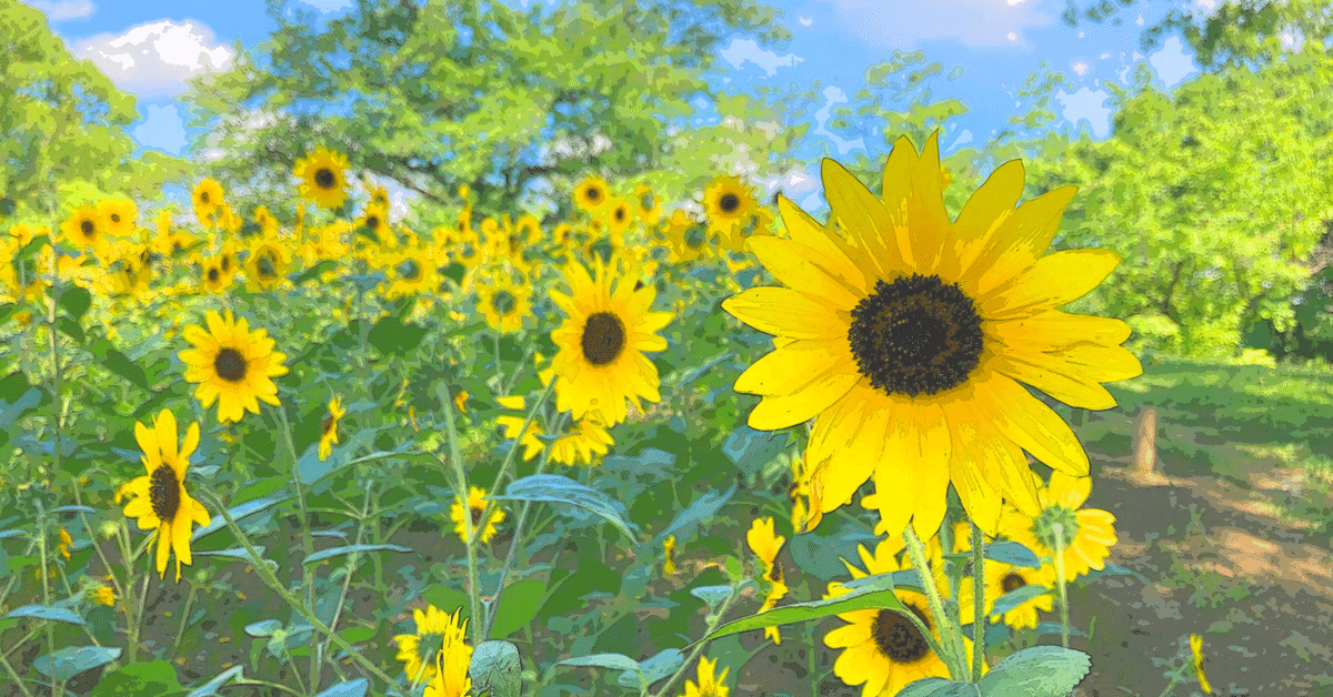 【自己紹介】はじめてのnote｜Yuki Fukuoka