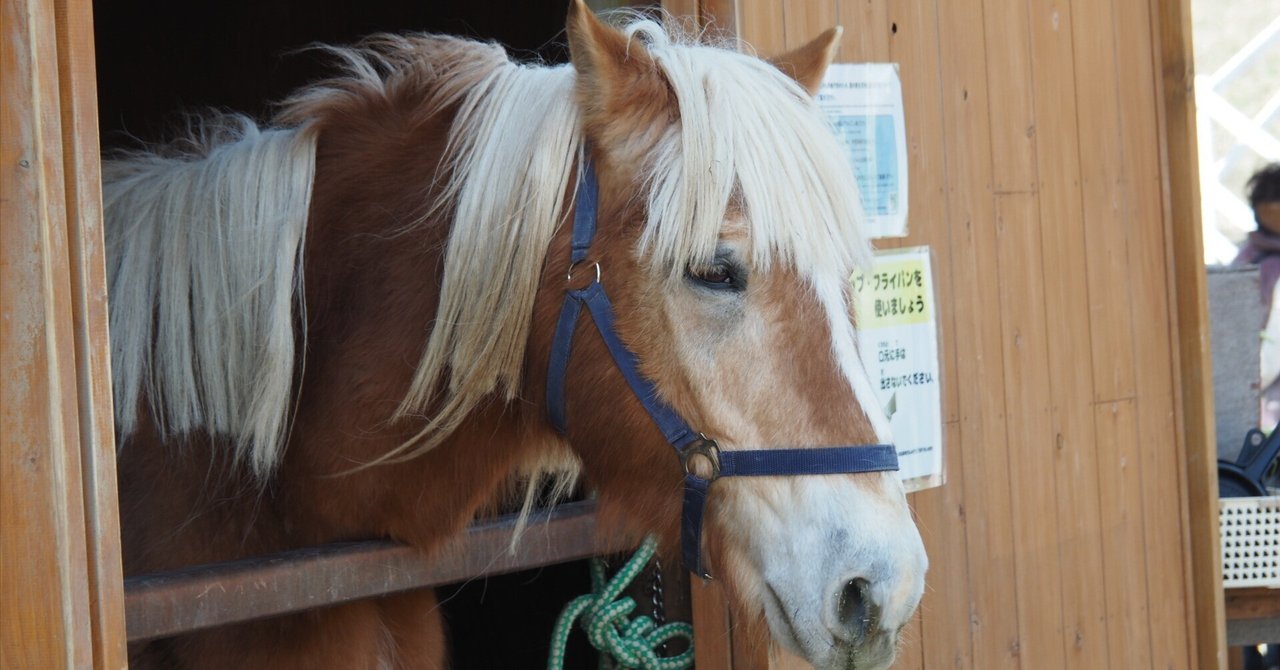 ウマ Horse｜M_ayumi