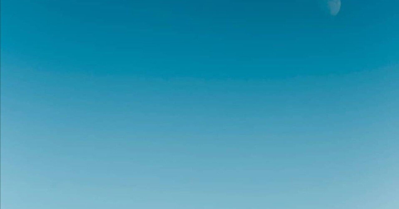 闘病記 vol.4｜紗月皐 / Kousuke Oya