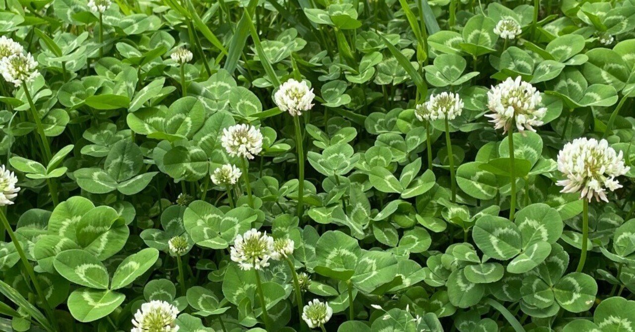 ことばで伝えていく。｜画家 / 北澤里奈 - POWER SEED(パワーシード)-