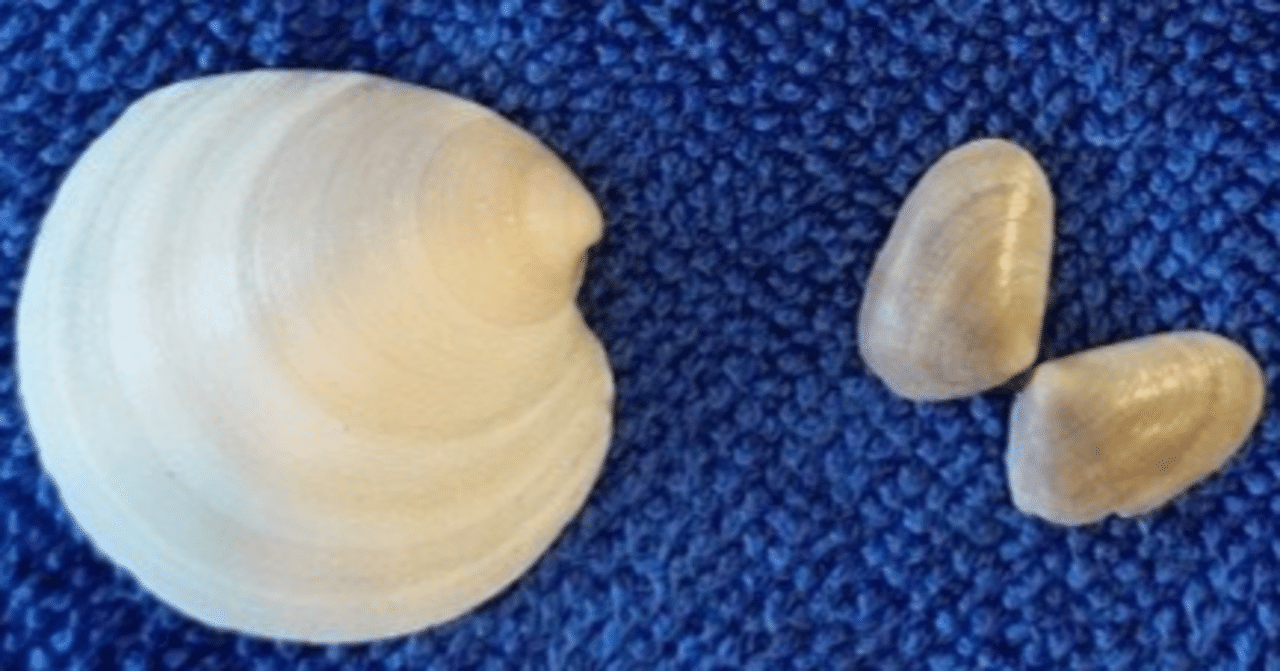 [DTM] 大きな画面で編集したい｜Gotzh