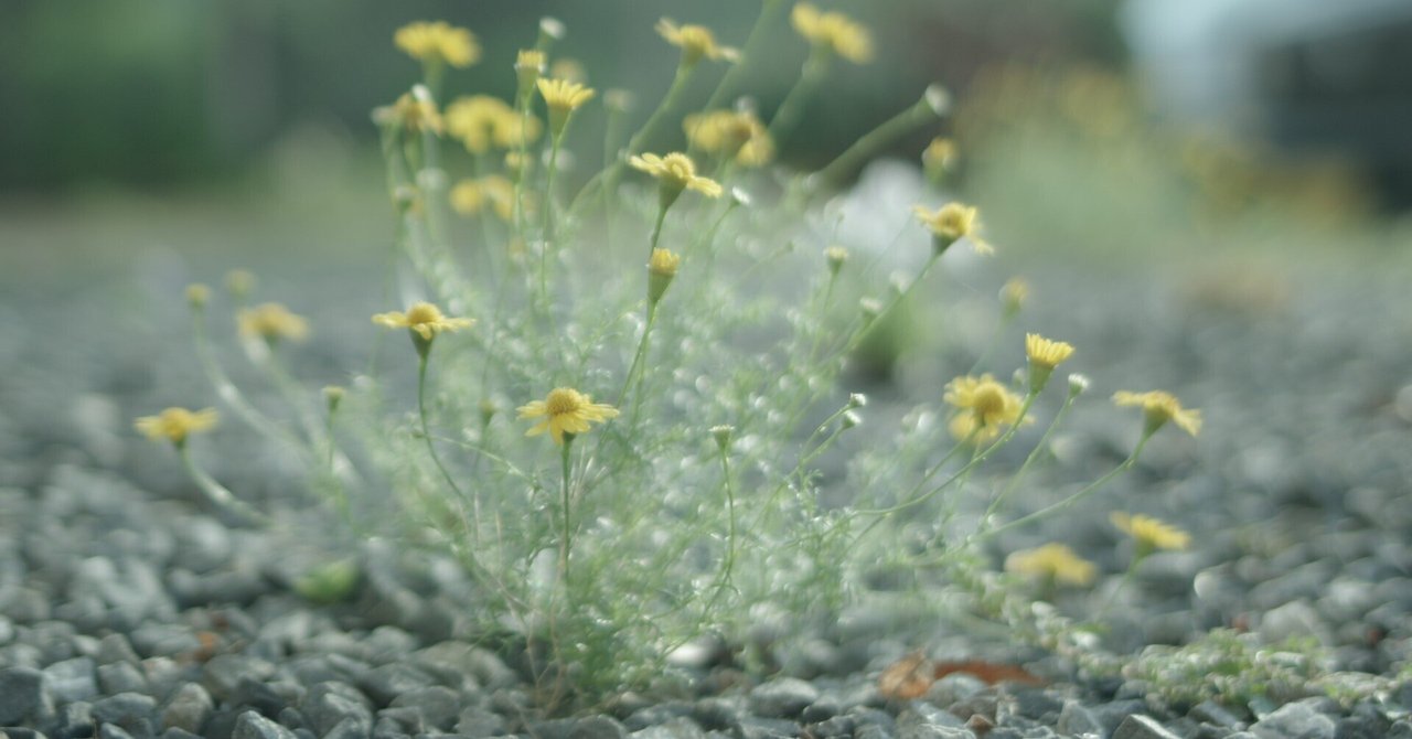生きている｜反町准也 / SORIMACHI JUNYA