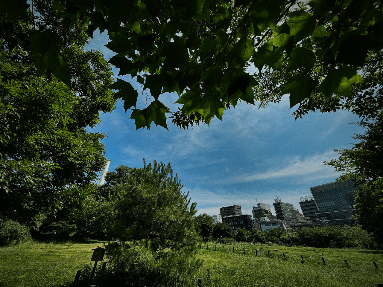 Hiroshi Kikuchi｜note