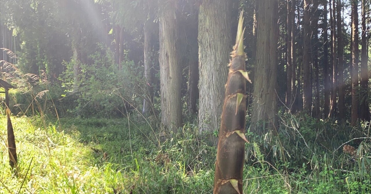 頑固で我の強いHSPがカウセリングへGO｜310(佐藤)