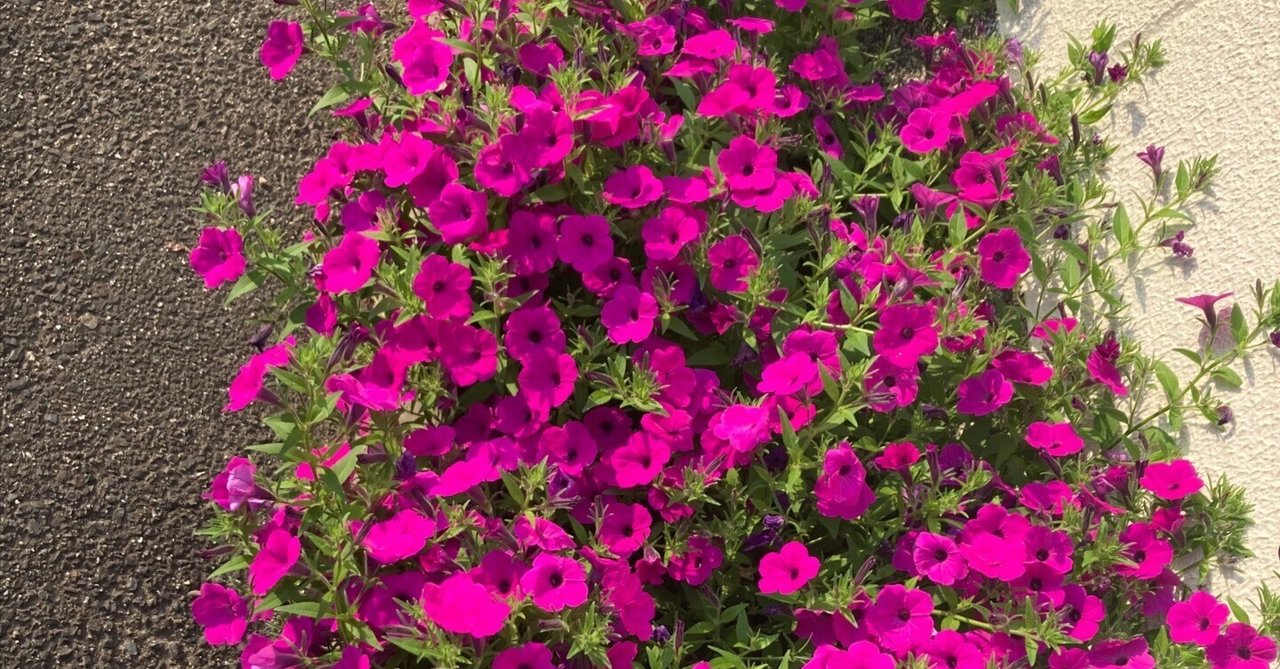 Yukihiko Yamada ｜note