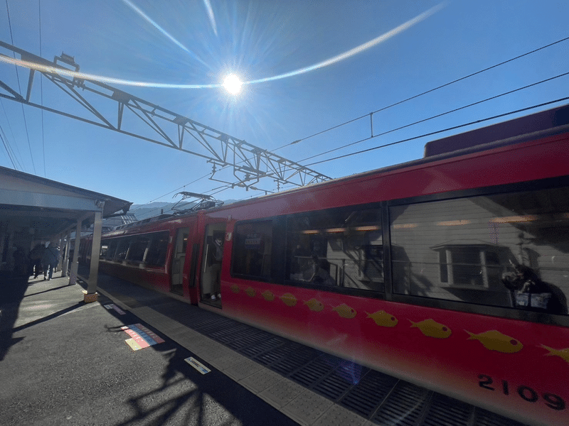 宇佐美城山公園キャンプ場【特急踊り子】｜抜け感