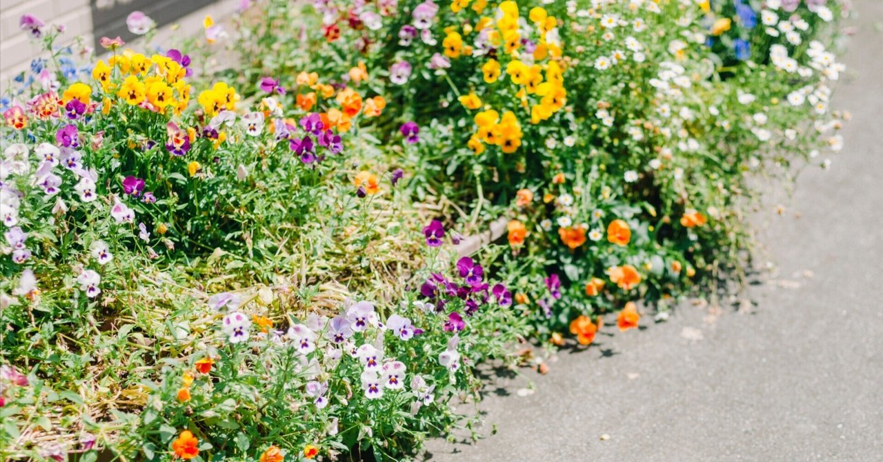 オールドデジカメを楽しむ。2006年生まれのNikon D80レビュー｜seina