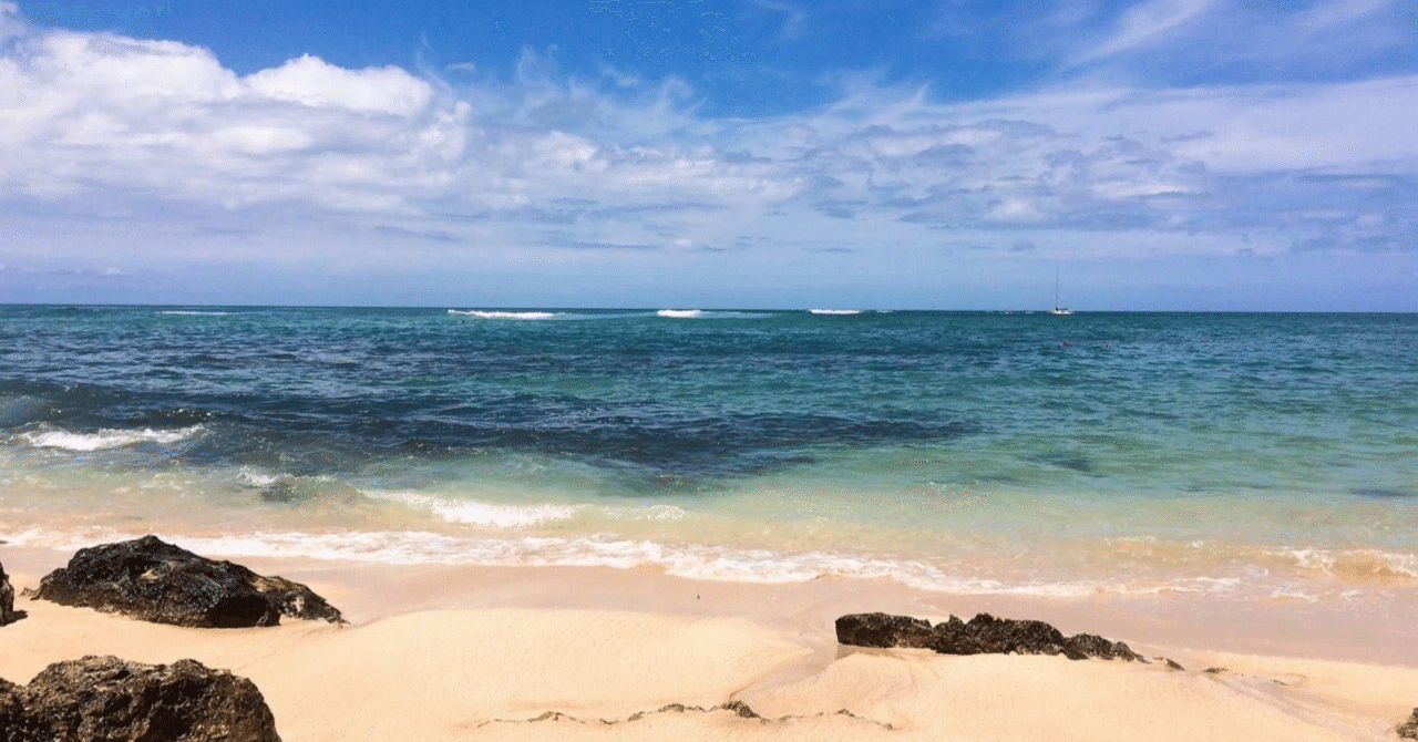 “水上を歩く感覚”を体験できる水上パーソナルクラフト「Wheeebo」、新たに沖縄の4カ所のリゾート施設でレンタル提供開始｜海のイドバタ会議 ｜ 海の守り人 守 雅彦