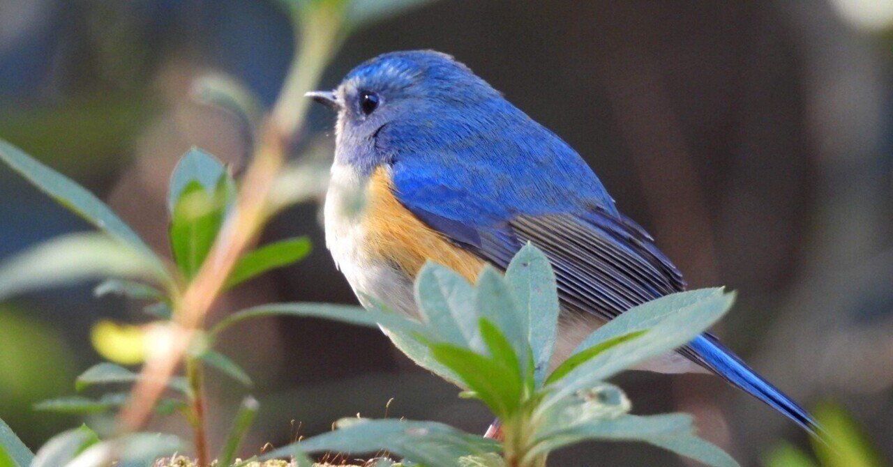 気取らねぇ詩を探してる｜OMRK。