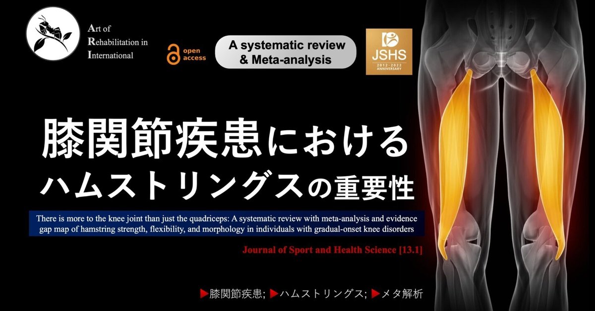 膝関節疾患におけるハムストリングスの重要性|super Human 理学療法士/保健学博士 Phd