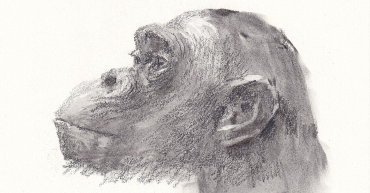 ＃1 noteをはじめるにあたって｜mitsu (Hazel)