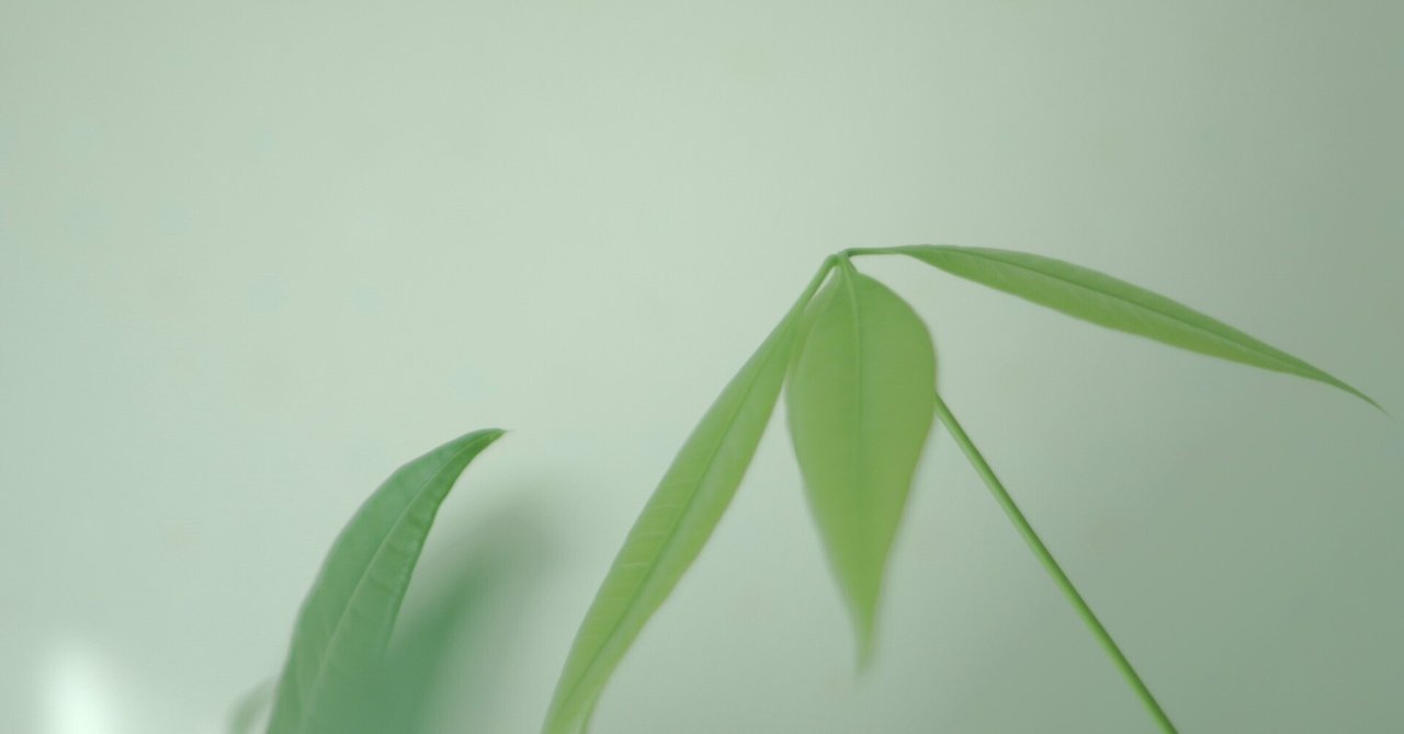 シンプル｜反町准也 / SORIMACHI Junya