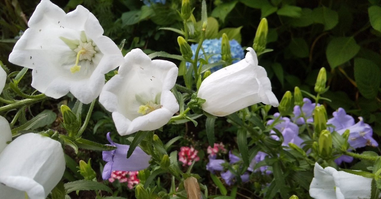 Mi Yoga Yinside 女性のための陰ヨガ×インドの伝統ヨガ×アーユルヴェーダ｜note