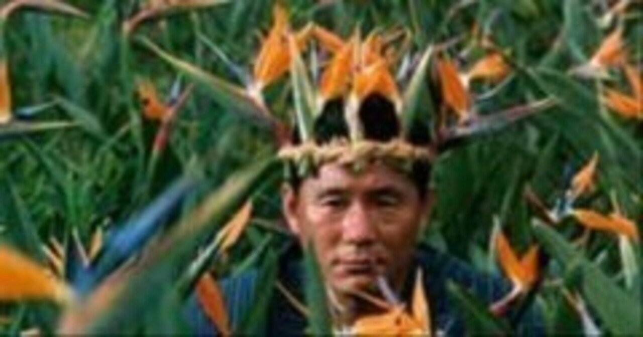 映画 ｢3-4X 10月｣｜KNG1983