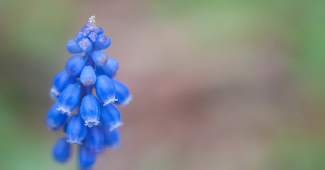 更年期以降に診断を受ける女性特有のADHD｜Mieko Horikoshi