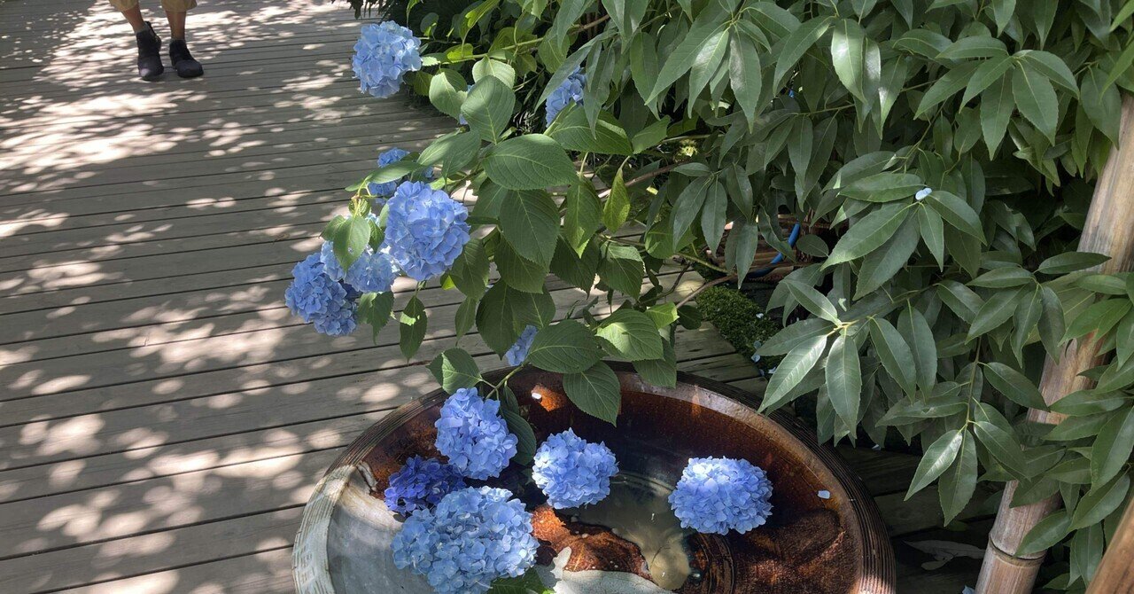 Mika Endo｜ライター｜note