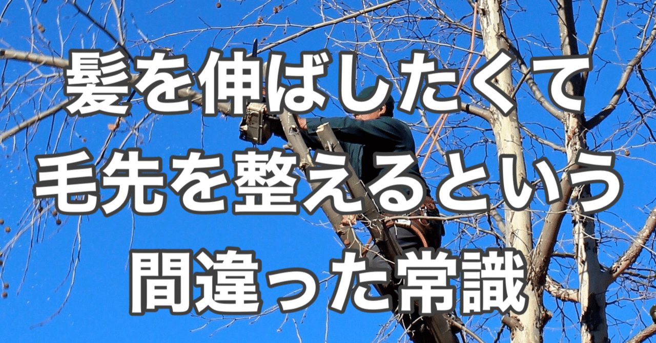 髪を伸ばしたくて毛先を整えるという間違った常識｜Ninomiya Hiroaki