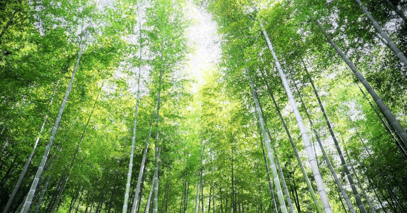 やまもとさとこ｜note