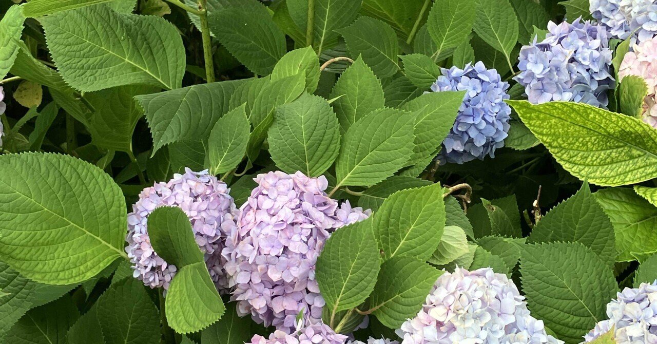 私とは｜samo_n29