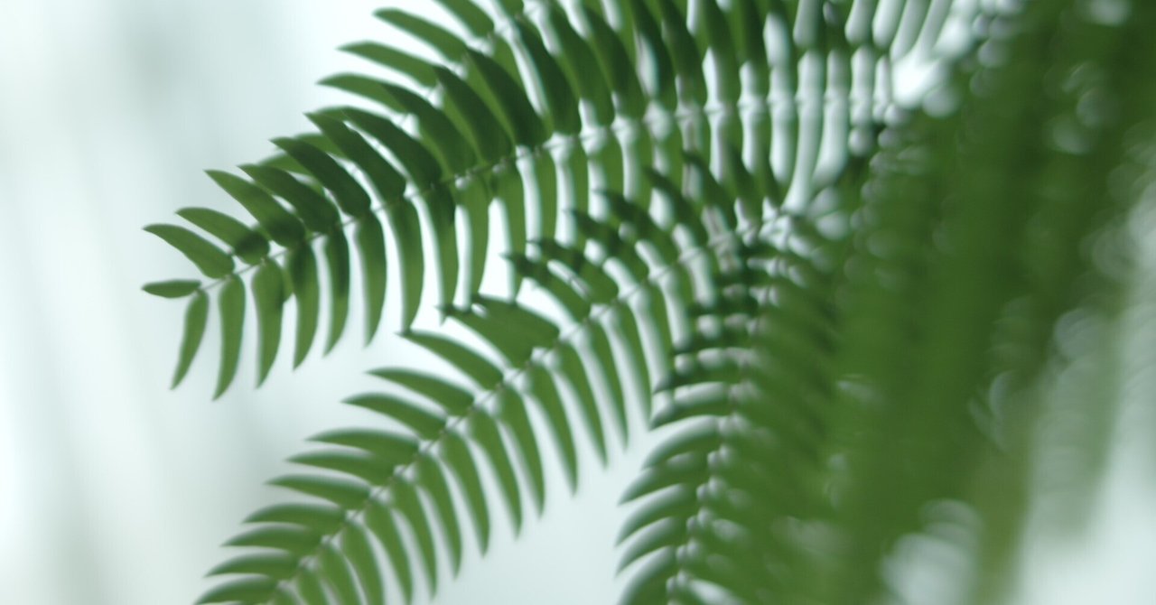 声｜反町准也 / SORIMACHI Junya