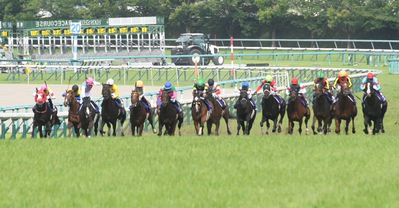 【2024 宝塚記念（G1）】日刊馬番コンピ指数分析予想篇｜Haya