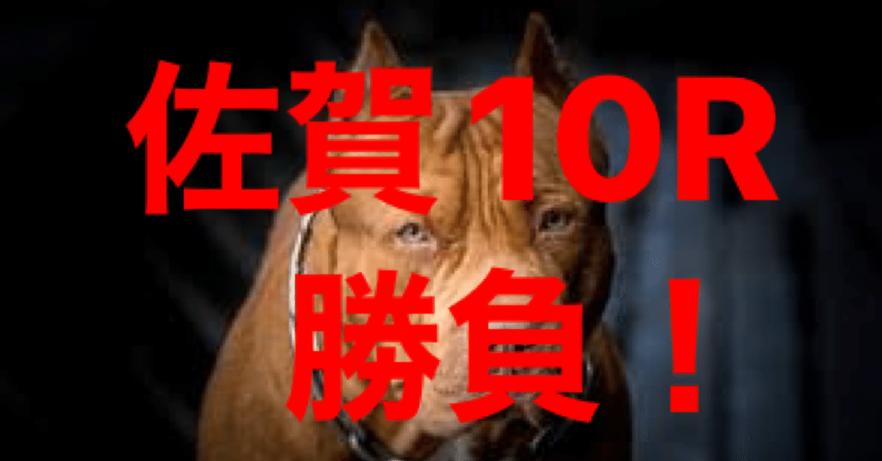 佐賀10R勝負！｜パドック師匠【PD master】公式🌐