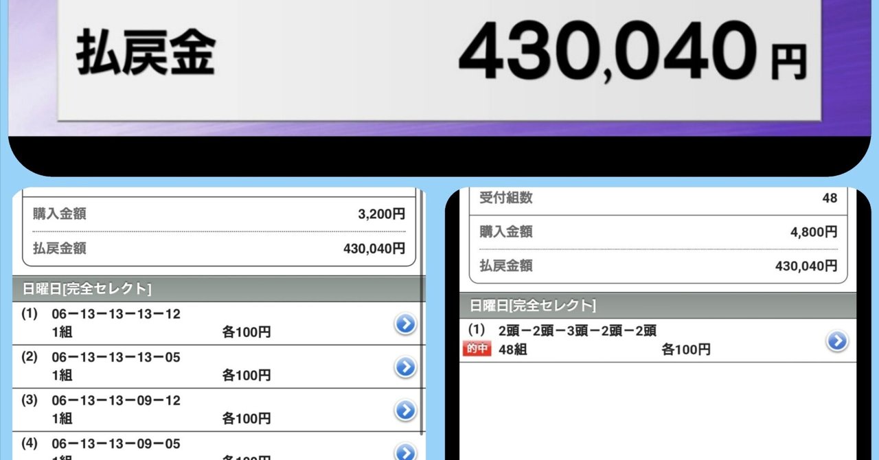 6月16日(日)win5対象レース勝ち馬候補予想 2024年5月19日43万40円的中‼️3月17日66万2790円的中 2月4日43万7030円的中 ｜西京の馬券師三宅