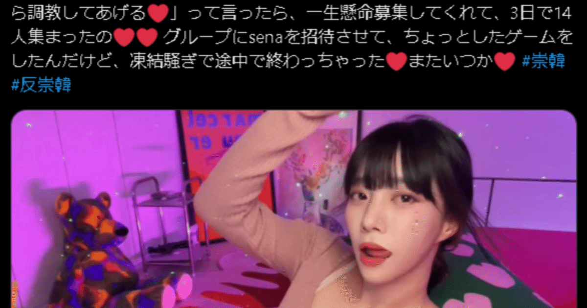 反崇韓グループの遊び ｜sena_k06