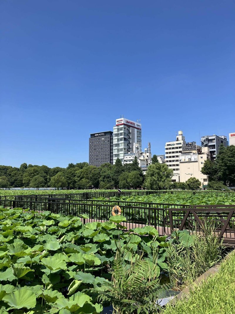 【日台友好】台湾🇹🇼から来た友達に少し会えました(簡単まとめ)｜Twenty【62万PV達成！】