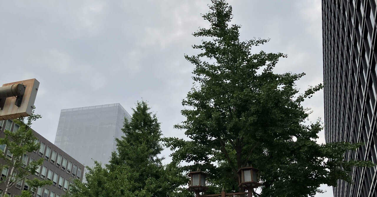 100の質問に答えてみた！｜samo_n29