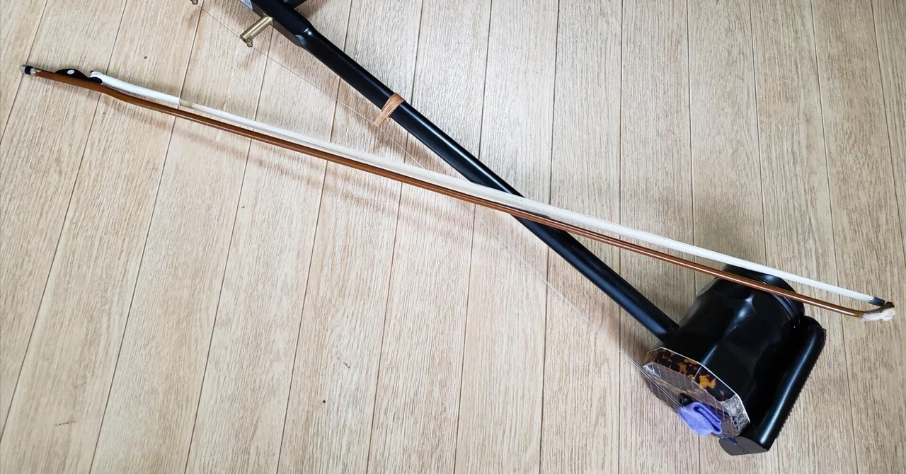 Erhu lesson/二胡レッスン June 16, 2024｜daisy