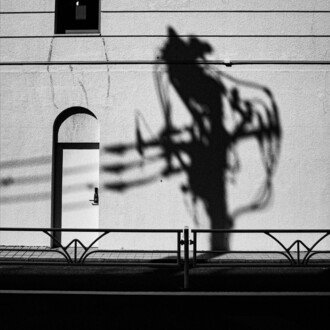 shiny_marten5812｜note