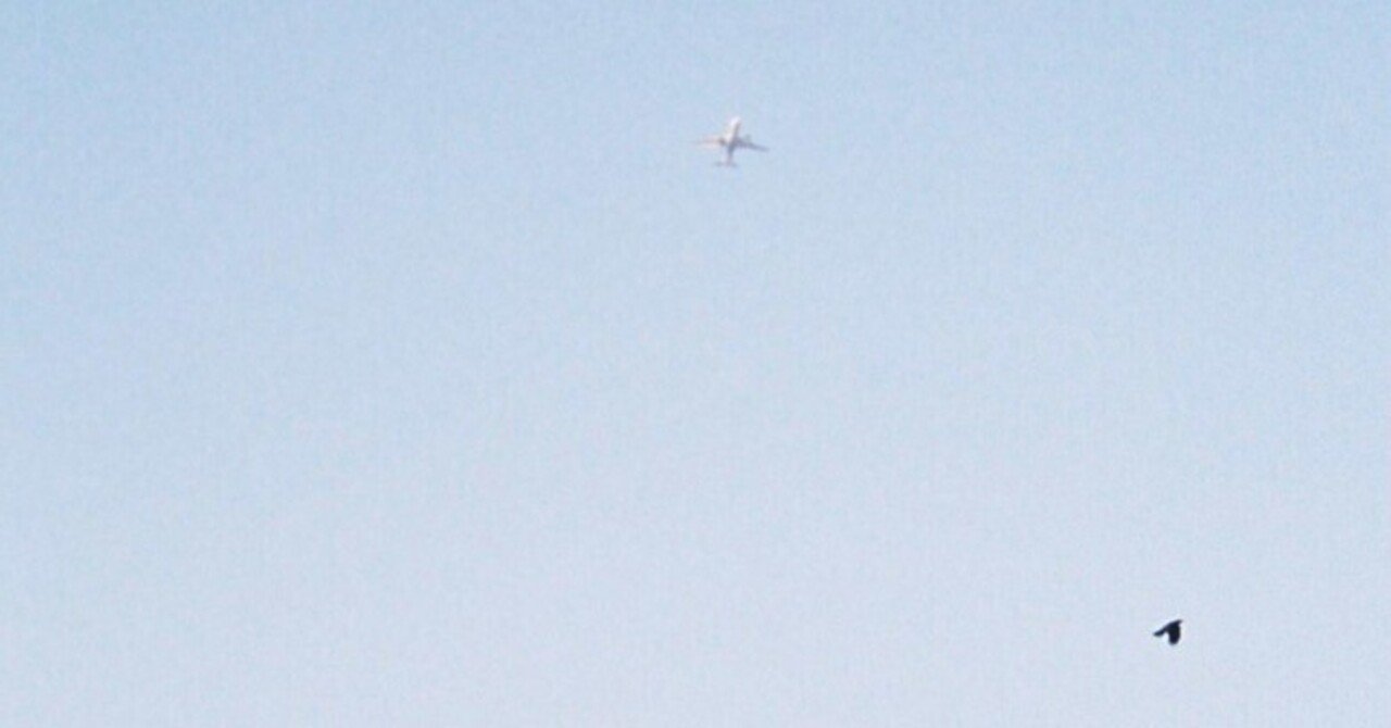 川野太郎 Kawano Taro｜note