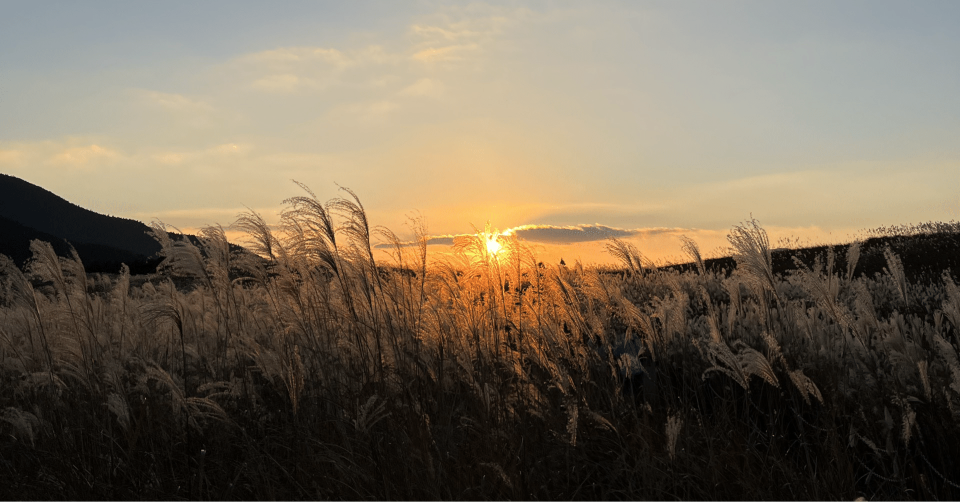 mmk | 20代社会人｜note