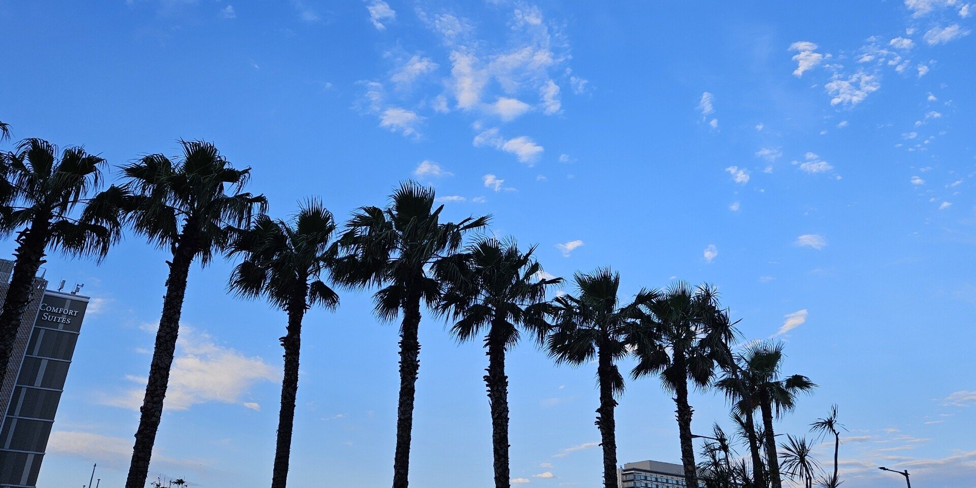 愛と性とワタシの探求 ️｜愛と性の本質を伝える女神【emi】｜note