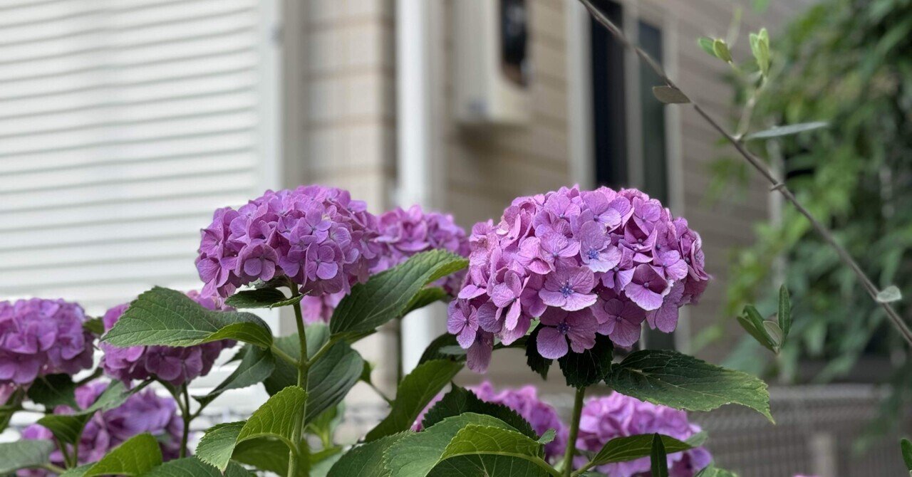 本番ということは終わりが近い｜yukik