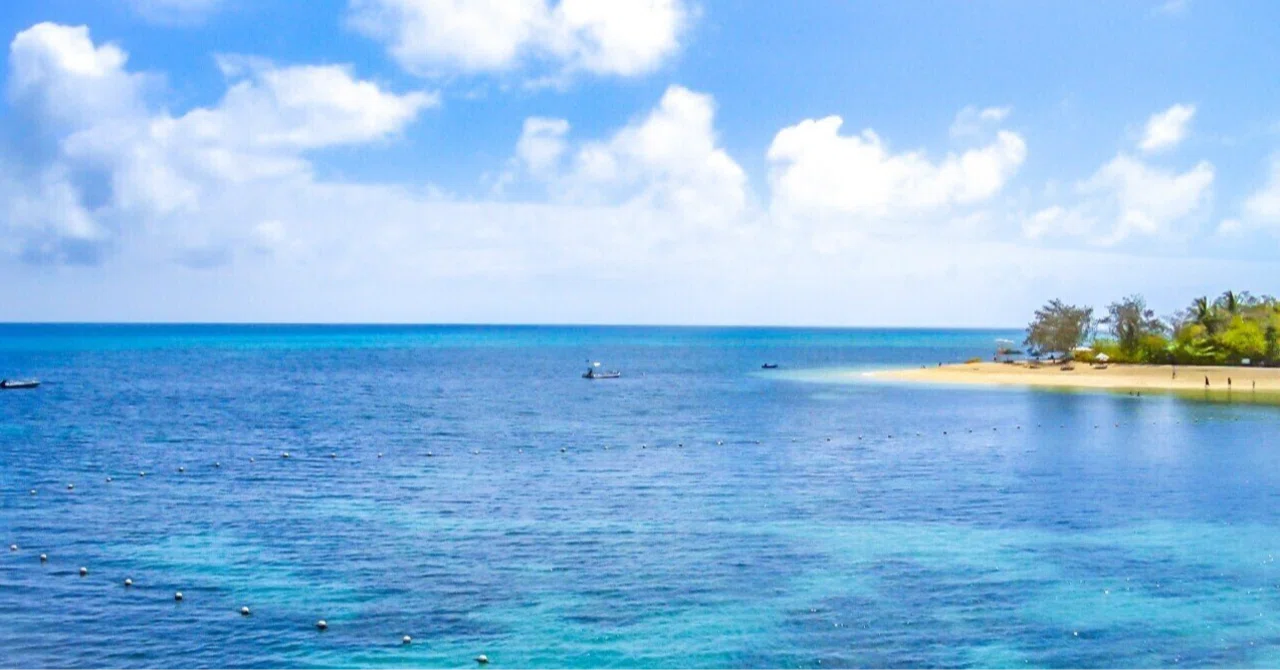TOEFL TPO47 Reading（Coral Reefs）｜くるみ【TOEFL100点目指す純ジャパ】