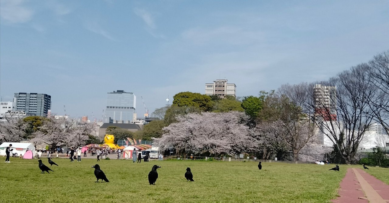 提唱者は過去の自分からn｜ope