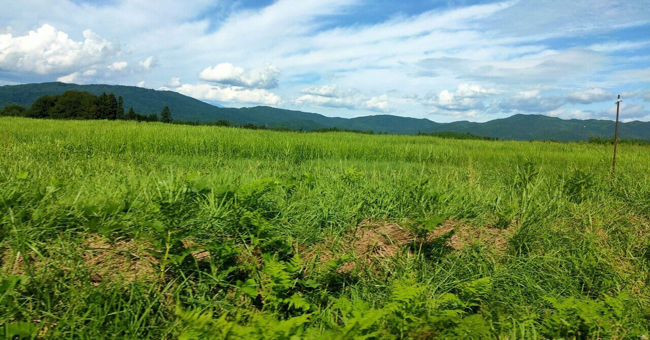 自己紹介＃初めてのNote｜Yuri