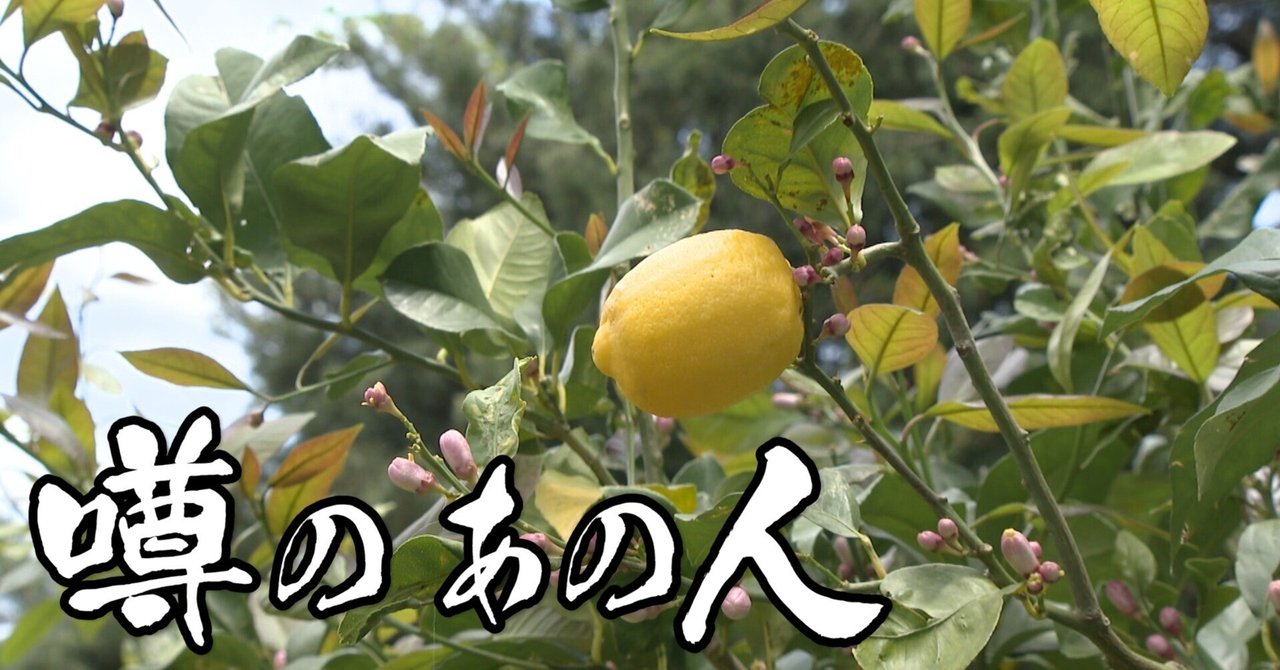 耕作放棄地の再生に奮闘する若者たち【噂の！東京マガジン「噂のあの人」】｜BS-TBSの公式note