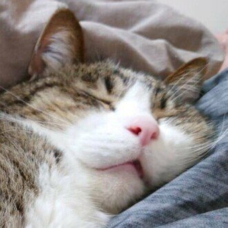 てらこ / TERAKO｜note